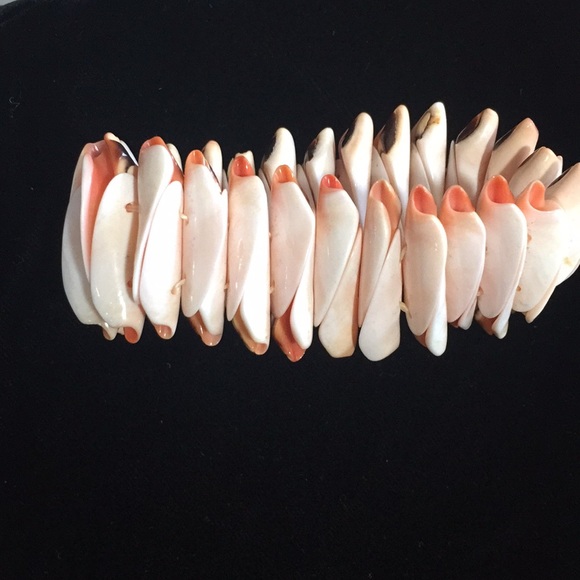 Jewelry | A Seashell Bracelet Beautiful Shells Elastic Band | Poshmark